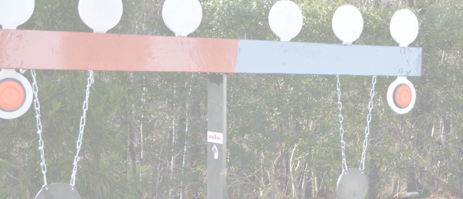 Proloc Targeting Systems